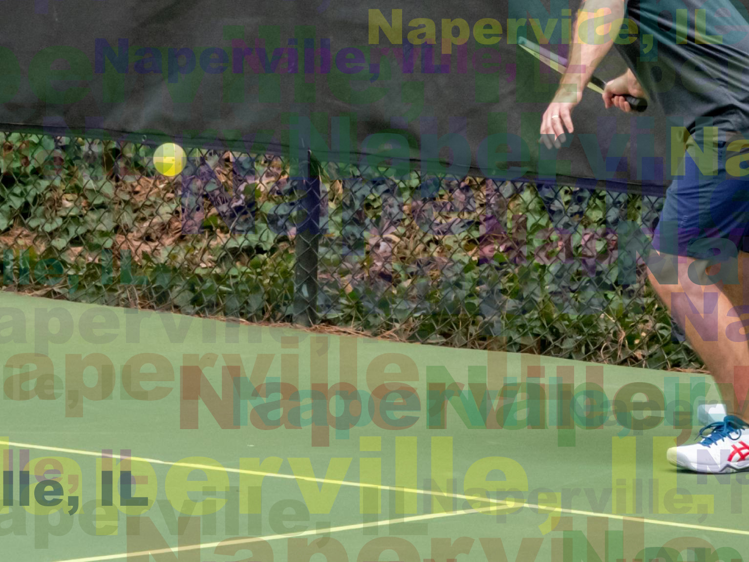 Naperville IL Pickleball - Courts, Events & Leagues